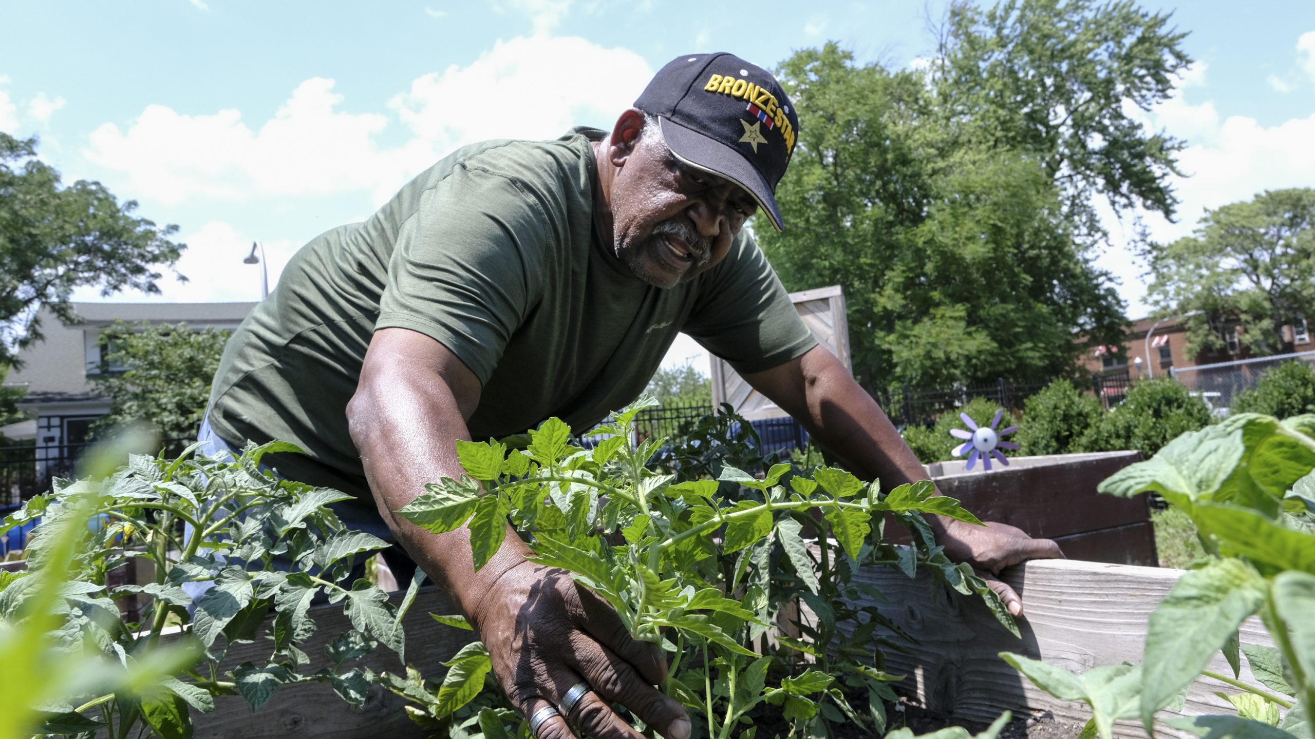 Collective shows how communities grow one garden at a time - Austin ...