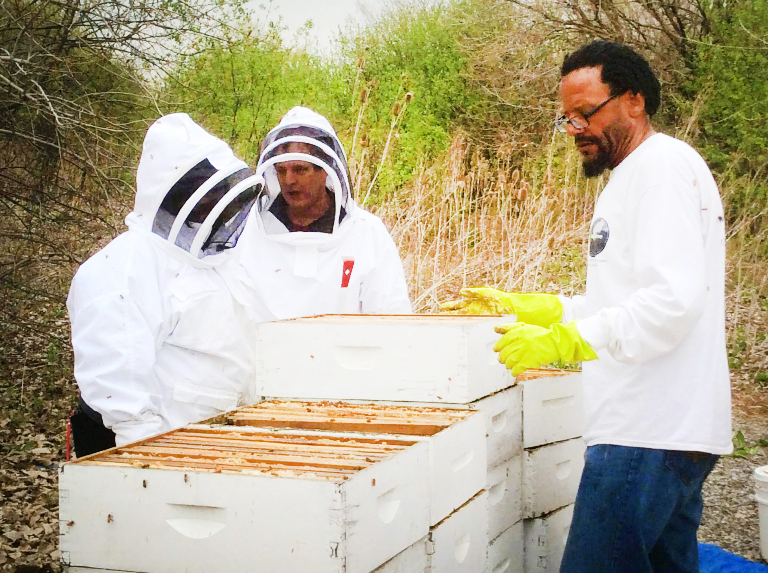 African American beekeeper talks about the fascinating life of bees ...